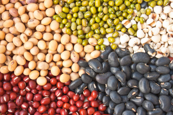 Mixed Bean Medley Canning Recipe | The Canning Diva
