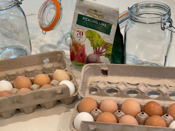 Pickling Red Cabbage for the Holidays | The Canning Diva