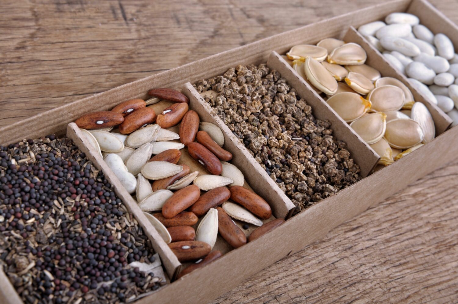 Top 10 Heirloom Seed Collecting Tips | The Canning Diva